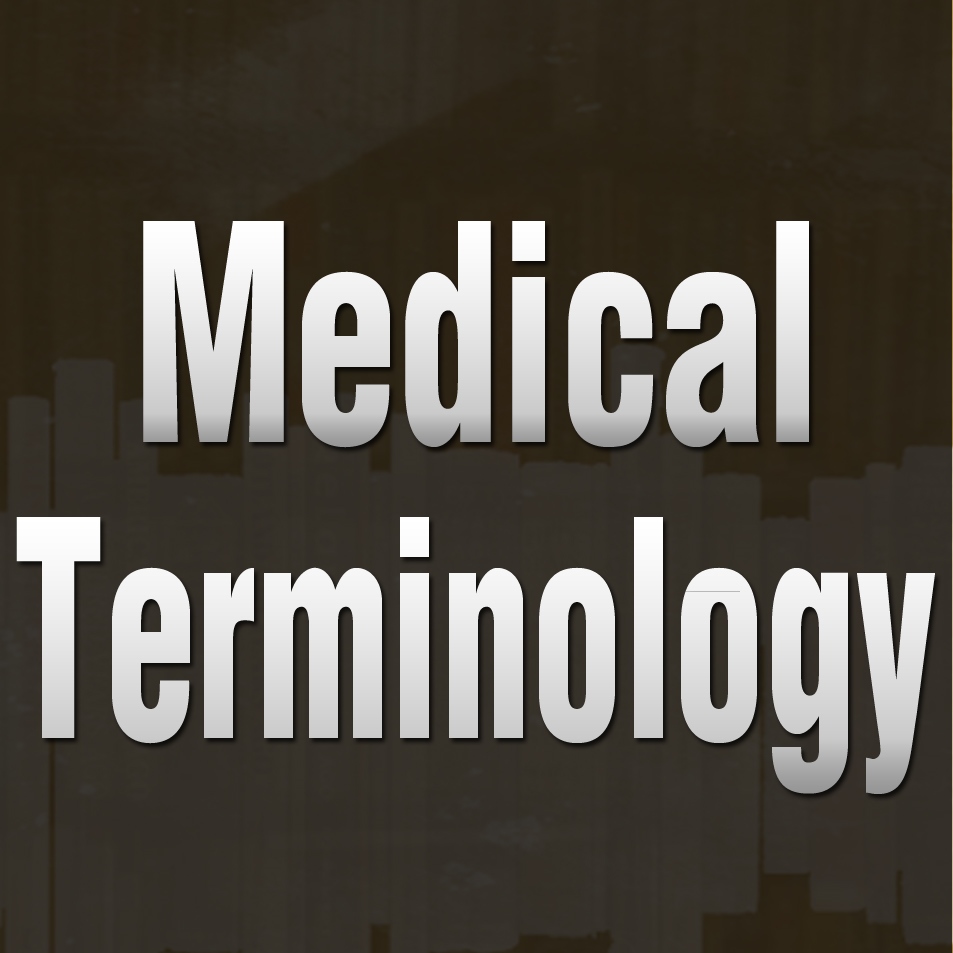 New Medical Terminology videos added - CTE Skills